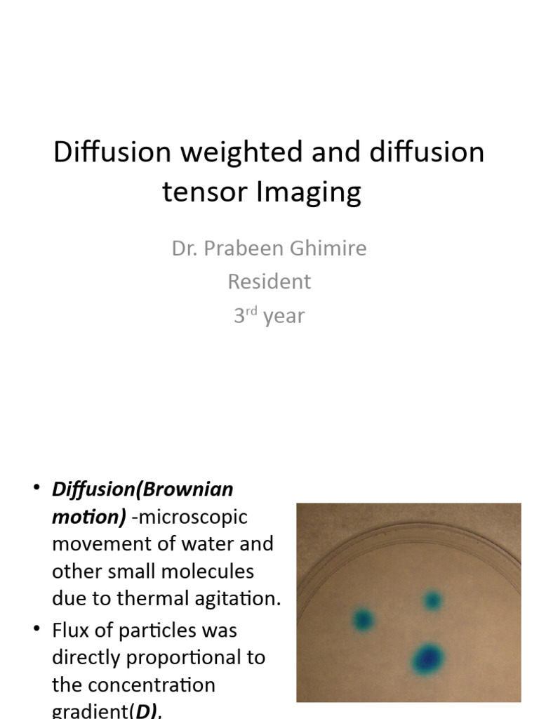 003 Dwi and Dti | PDF