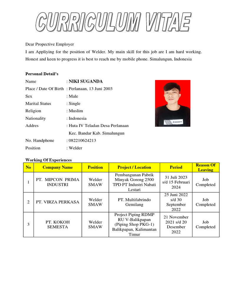 CV Niki Suganda | PDF