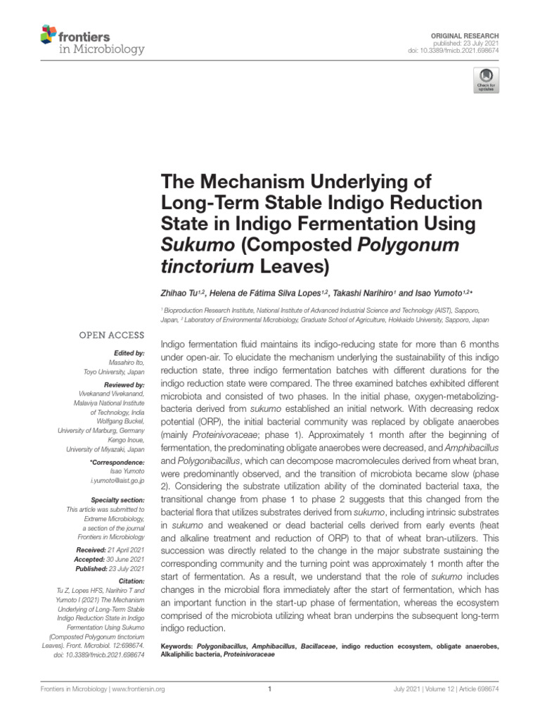 The Mechanism Underlying of Long-Term Stable Indigo Reduction State in ...