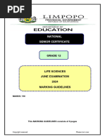 Grade 12 BCM Essay | PDF