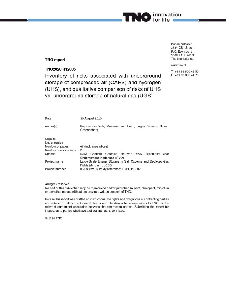 Tno 2020 R12005 | PDF | Natural Gas Storage | Risk