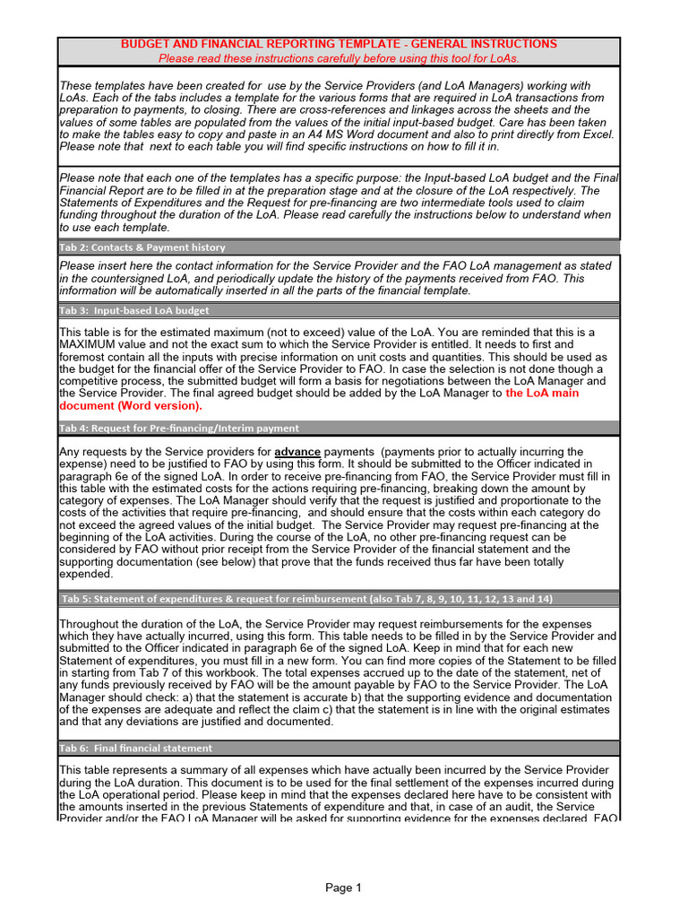 Financial Reporting Template LoA - EN1 | PDF | Expense | Budget