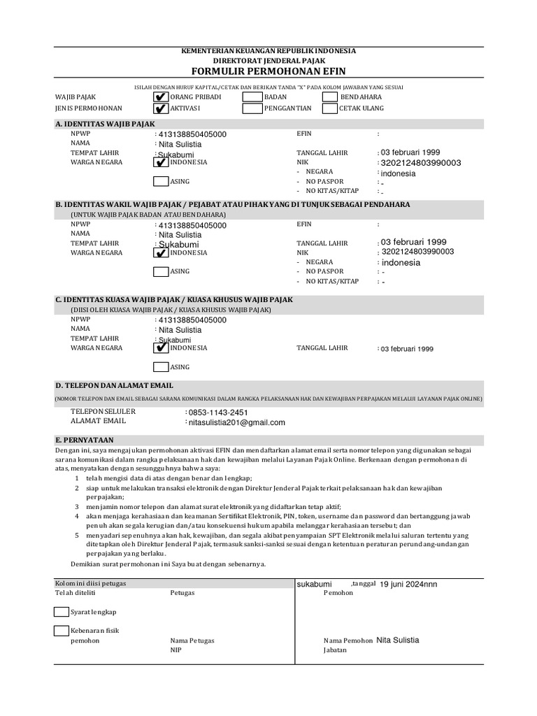 Formulir Efin 2 | PDF