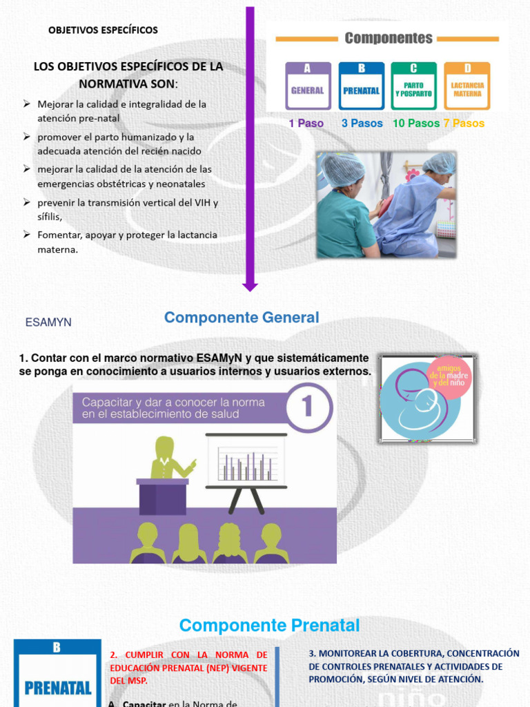 ESAMYN | PDF | Parto | Salud pública