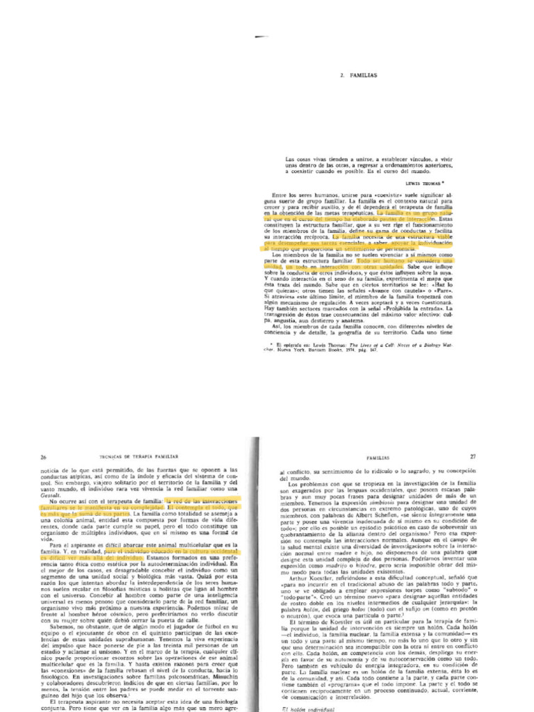 Sistemas Minuchin Gtu | PDF