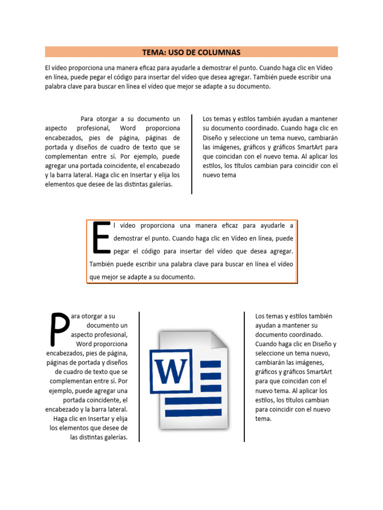 Ejercicio de Columnas | PDF | Vídeo | Informática