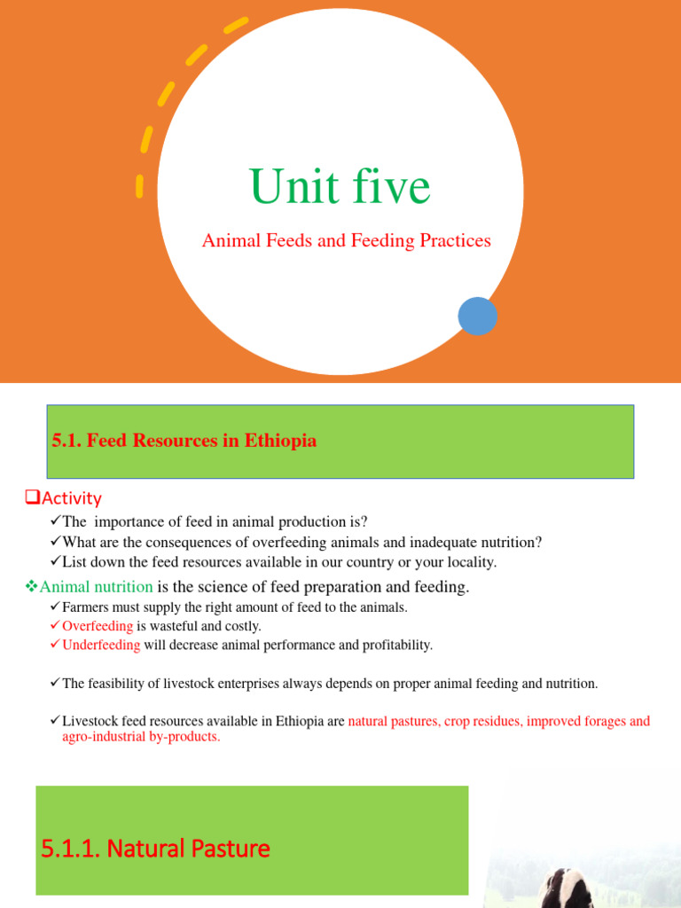 Agriculture Note Unit-5 For Grade 11 Students. | PDF | Animal Feed | Legume