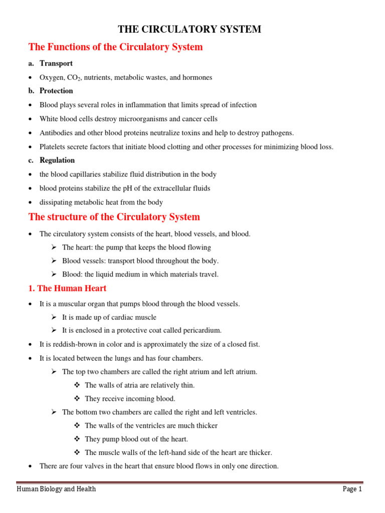 (Biol 12) Circulatory System Lecture Notes and MCQ 2016 | PDF | Heart ...