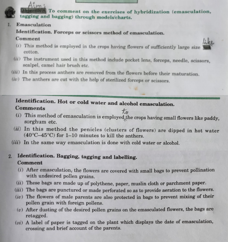Spotting 8. Controlled Pollination - Emasculation, Tagging & Bagging | PDF