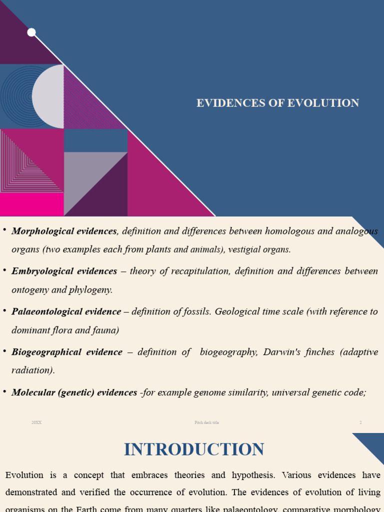 EVOLUTION (Evidences of Evolution) | PDF | Geologic Time Scale ...