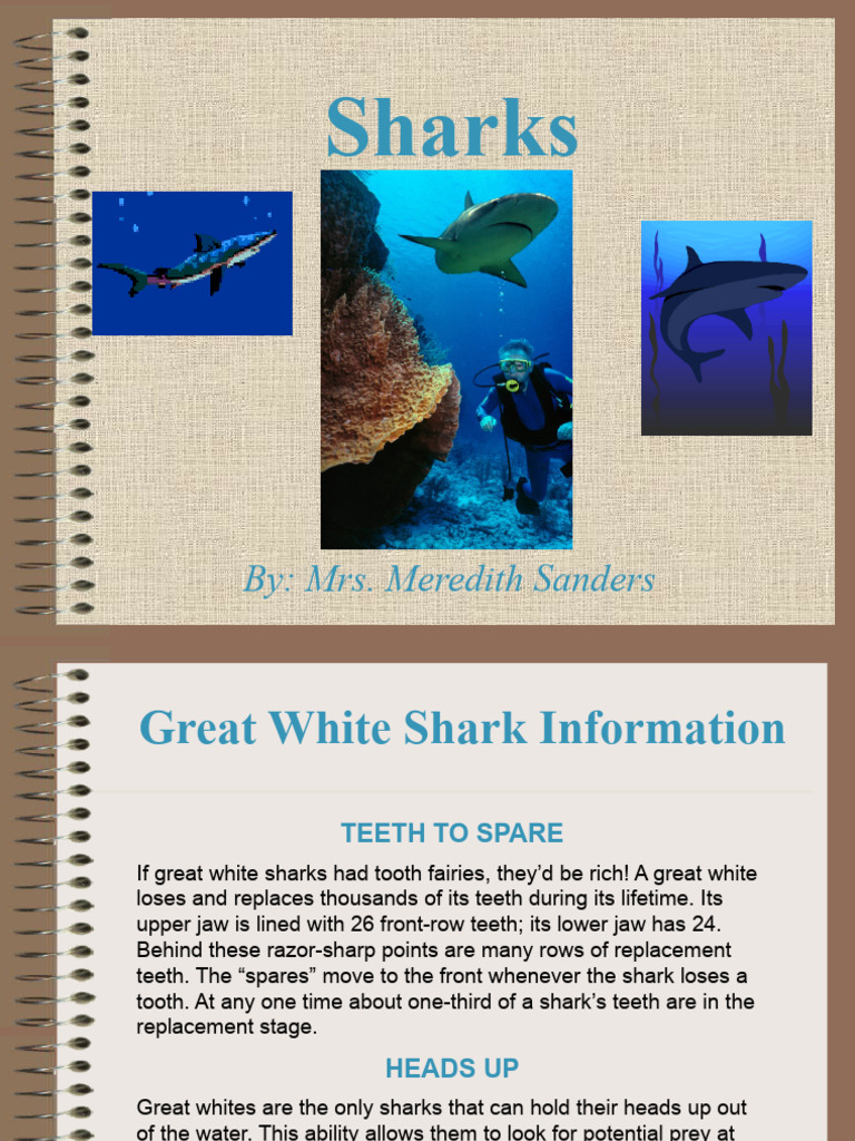 Sharks | PDF | Sharks | Great White Shark