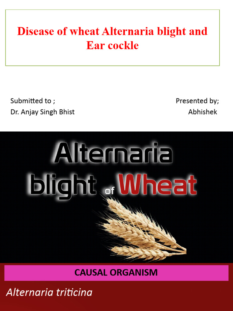 Presentation 2 Conventional tube | PDF | Plants | Botany
