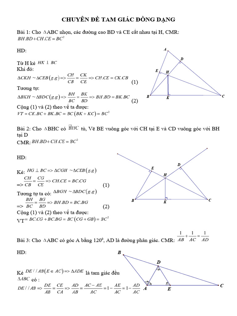 Chuyen de Tam Giac Dong Dang BDHSG Toan 8 | PDF