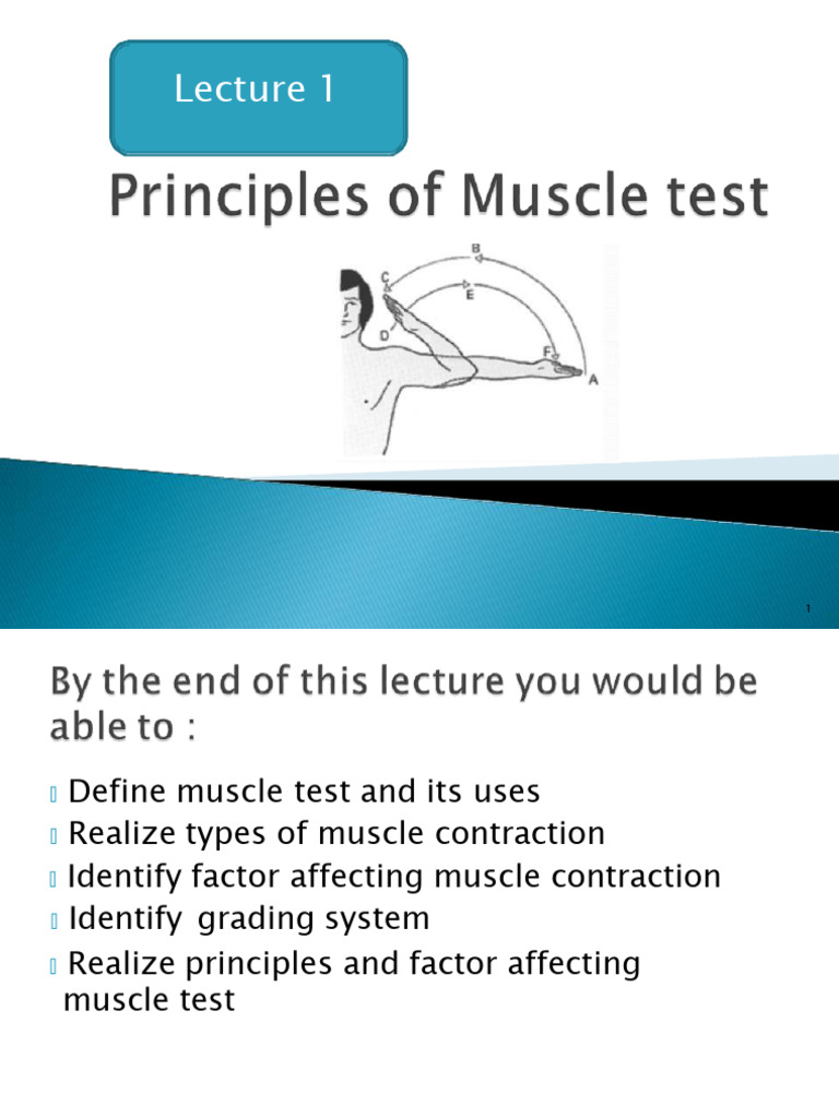 Test and Measurement Lecture 1 | PDF | Skeletal Muscle | Anatomical ...