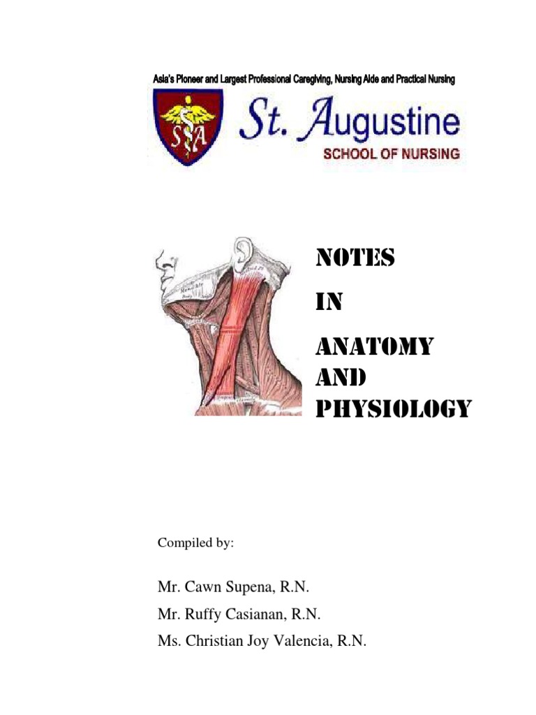 Anatomy Notes PDF