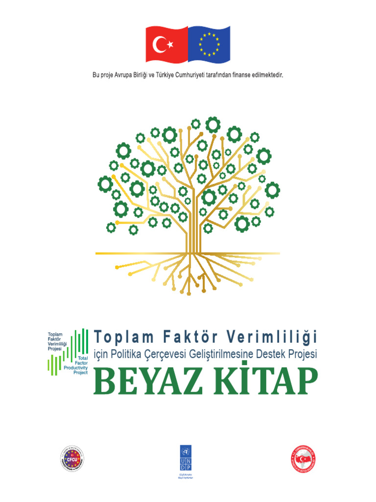 Beyaz Kitap TR Final | PDF