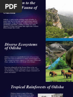 Punjab and Orissa | PDF | Agriculture | Wetland