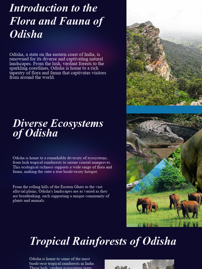 Biodiversity of Odisha: Flora and Fauna | PDF | Mangrove | Biodiversity