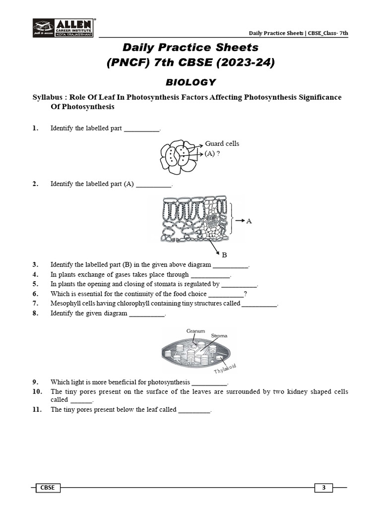 SC - DPS - (PNCF) 7th - CBSE - BIOLOGY-3 | PDF | Stoma | Leaf