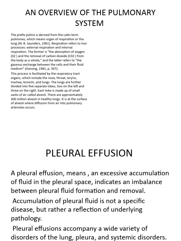 An Overview Of The Pulmonary System Pdf Lung Thorax
