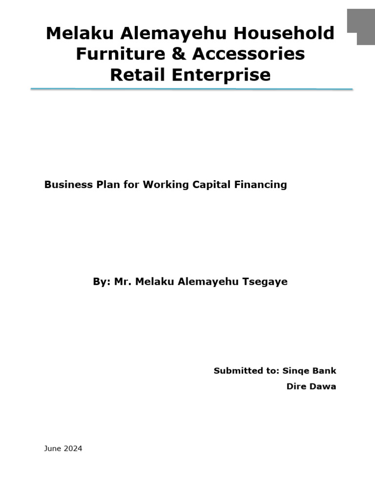 Melaku's Working Capital BP | PDF | Expense | Equity (Finance)