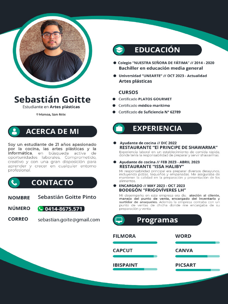 CV Sebastián Goitte | PDF