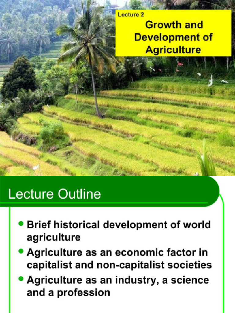 The Origin of Agriculture | PDF