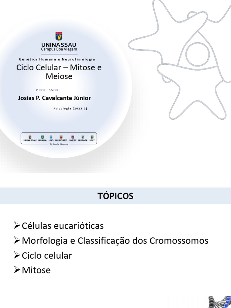 Aula 3 - Ciclo Celular e Mitose | PDF | Cromossomo | Célula (Biologia)