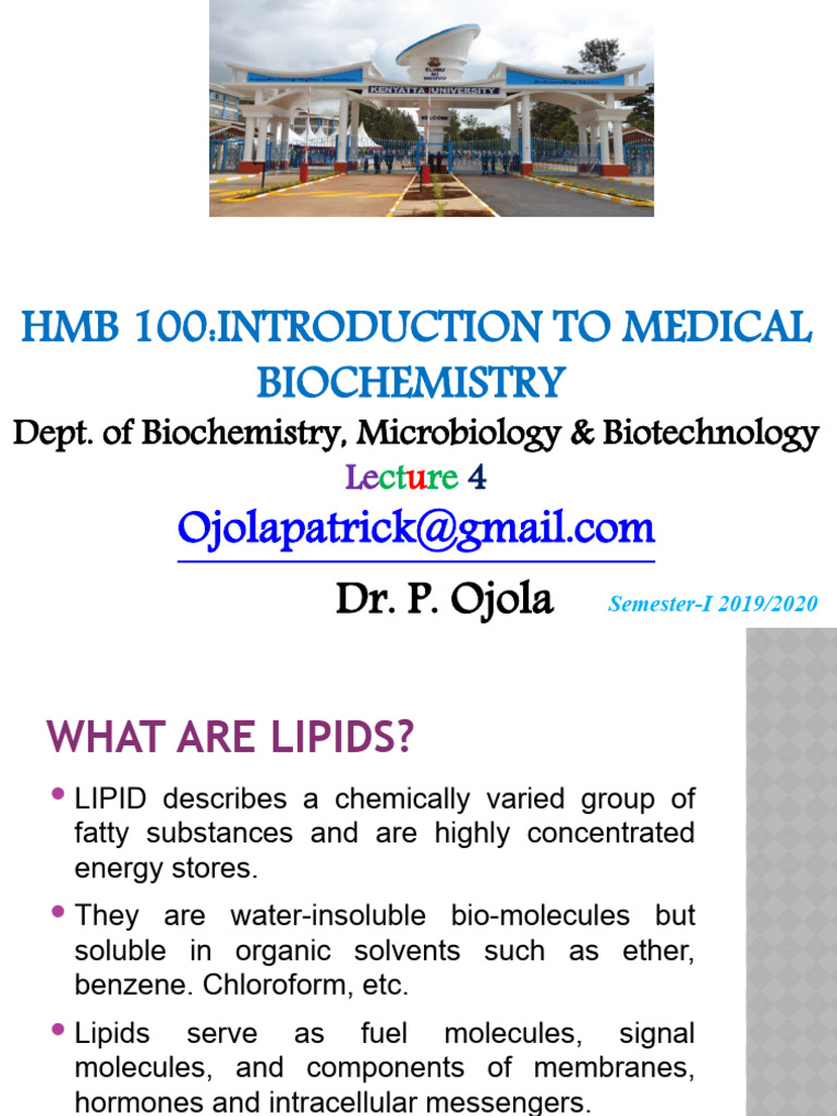 HMB 100 Lect. 4 | PDF | Lipid | Fatty Acid