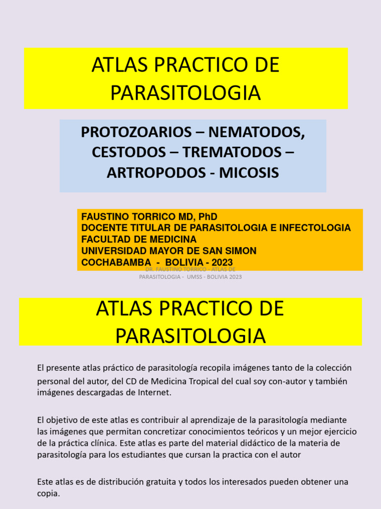 Atlas Practico de Parasitologia 2023 | PDF | Inmunología | Epidemiología Atlas Practico de Parasitologia 2023 | PDF | Inmunología | Epidemiología