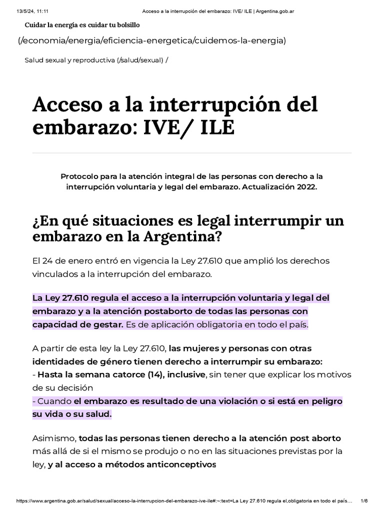Acceso A La Interrupción Del Embarazo - IVE - ILE - Argentina - Gob.ar | PDF | Aborto ...