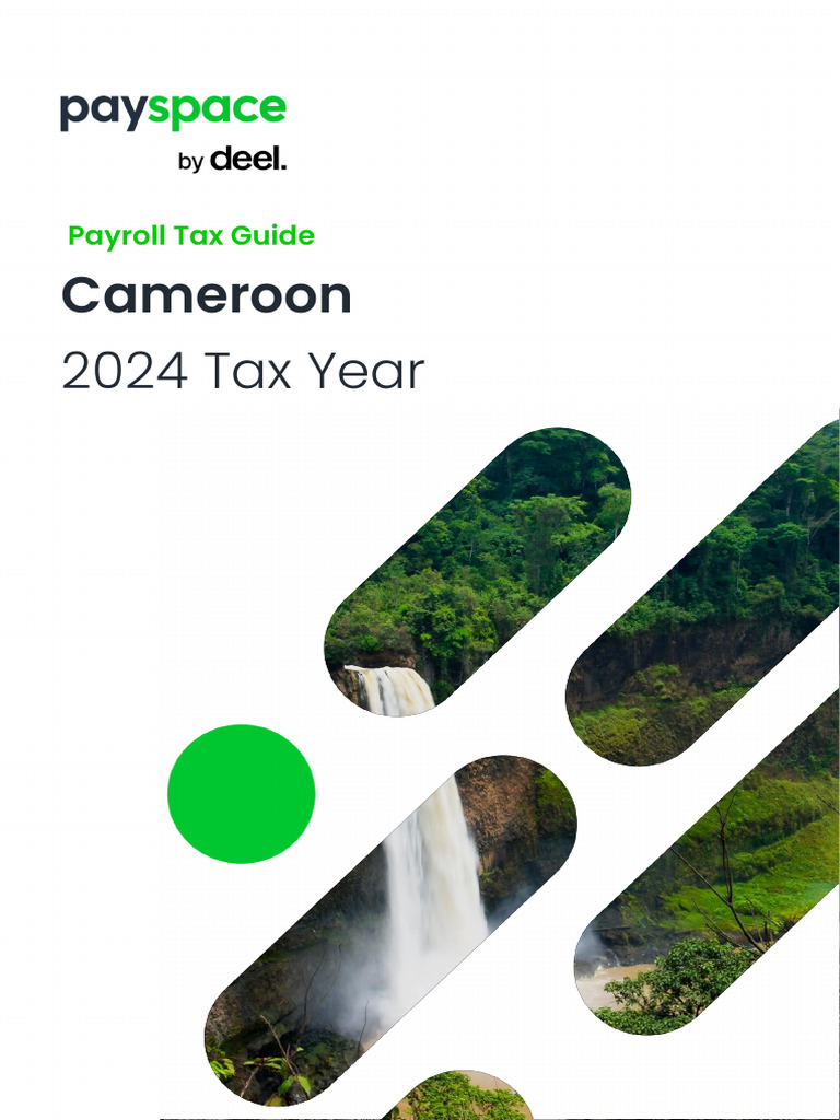 CM Payroll Solution Tax Guide Summary 2024 | PDF | Payroll Tax ...