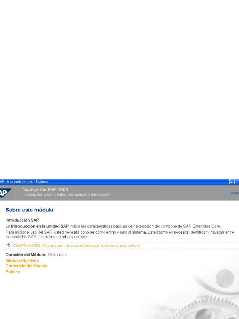 Sap125 Sap Navigation[1] Pdf