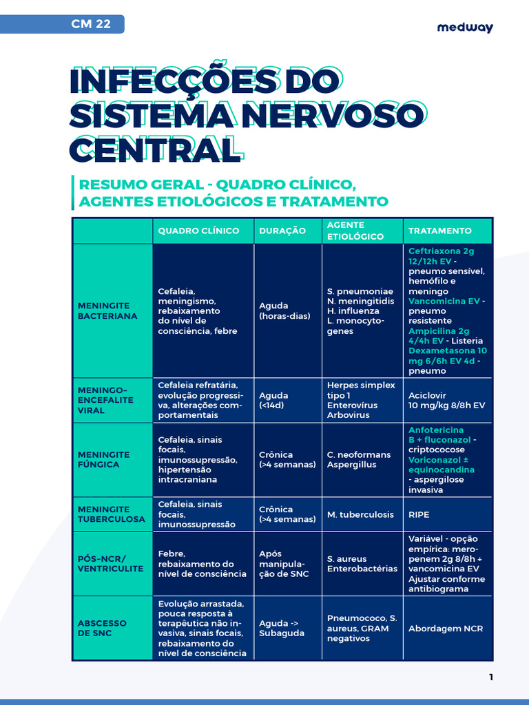 CM22 ExtSP 2024 FichaResumo CM Infecções Do SNC - App | PDF | Meningite ...