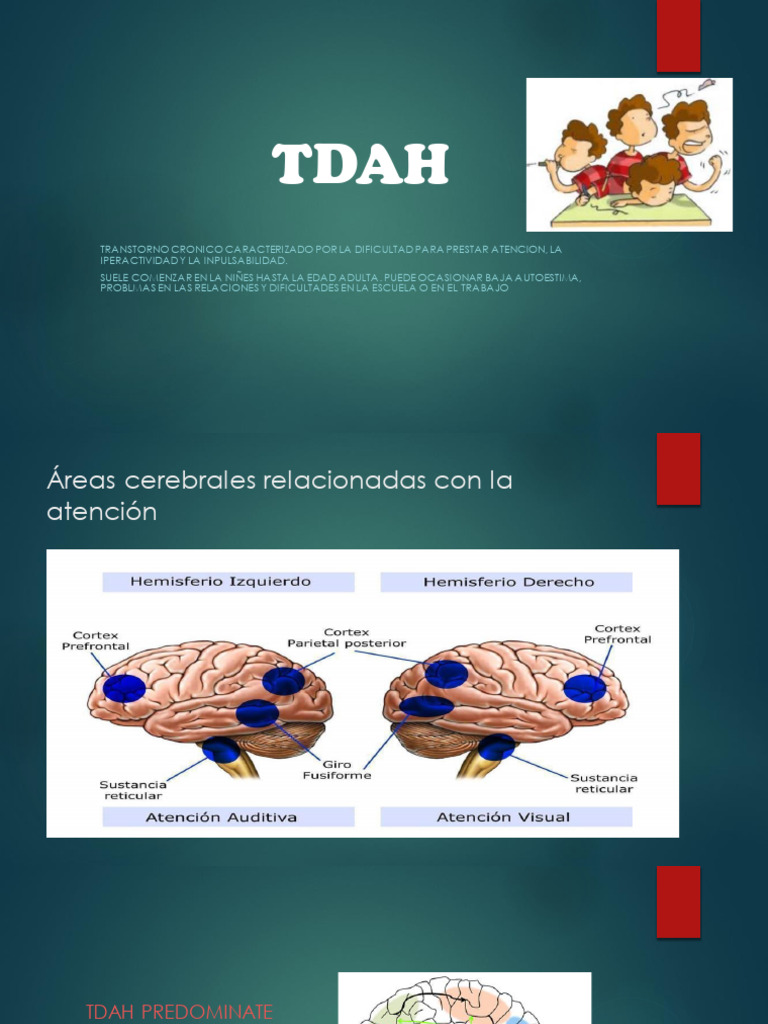 TDAH: Impacto y Áreas Cerebrales | PDF