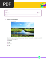 Prova 3b - 3º Ano Ciências | PDF