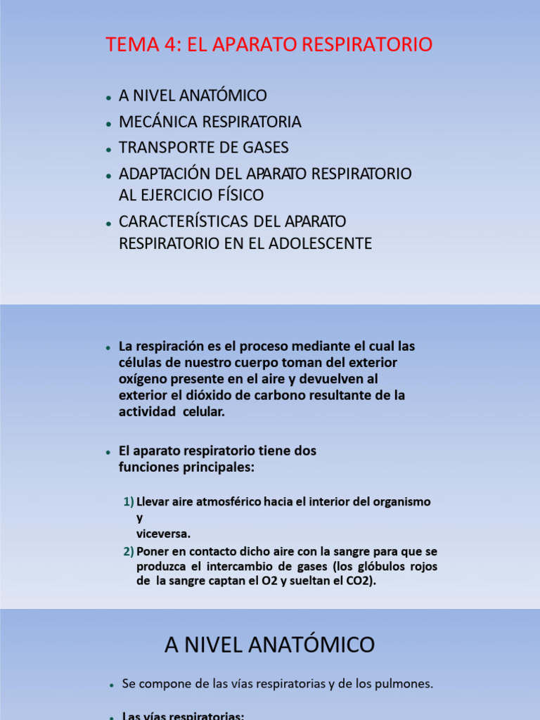 Tema 4. El Aparato Respiratorio | PDF | Sistema respiratorio | Pulmón