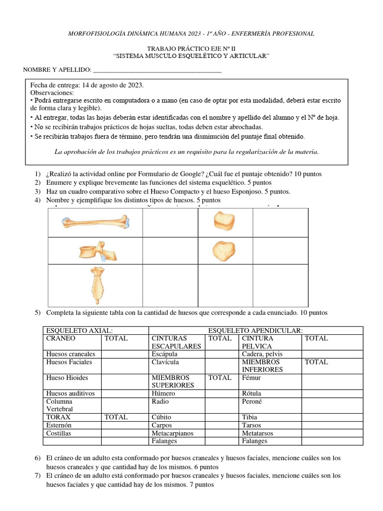 TP_N2_-_EJE_2_-_MORFOFISIOLOGIA_2023 | Descargar gratis PDF | Articulación | Anatomía