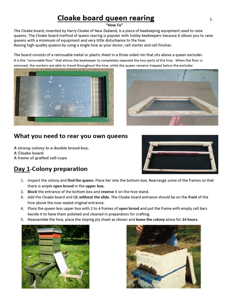 How To Cloake Board Queen Rearing | PDF | Beehive | Beekeeping