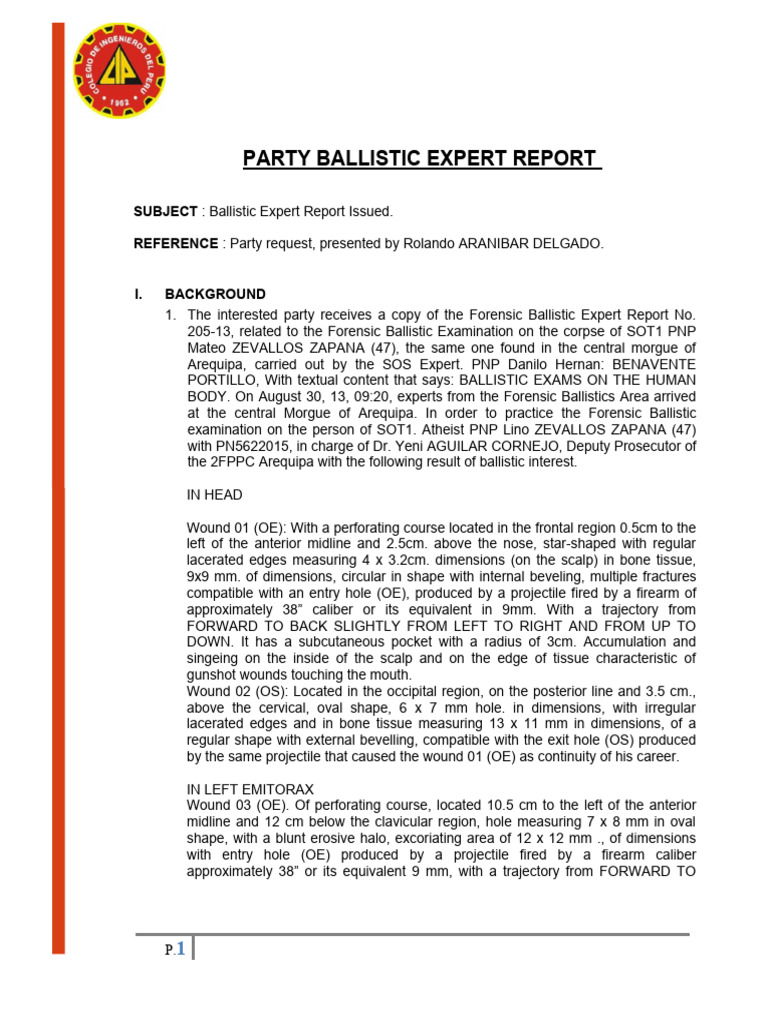 Ballistic Expert Report | PDF | Ballistics | Flight