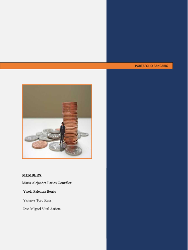 Work - Banking Portfolio | Download Free PDF | Financial Risk | Credit Card