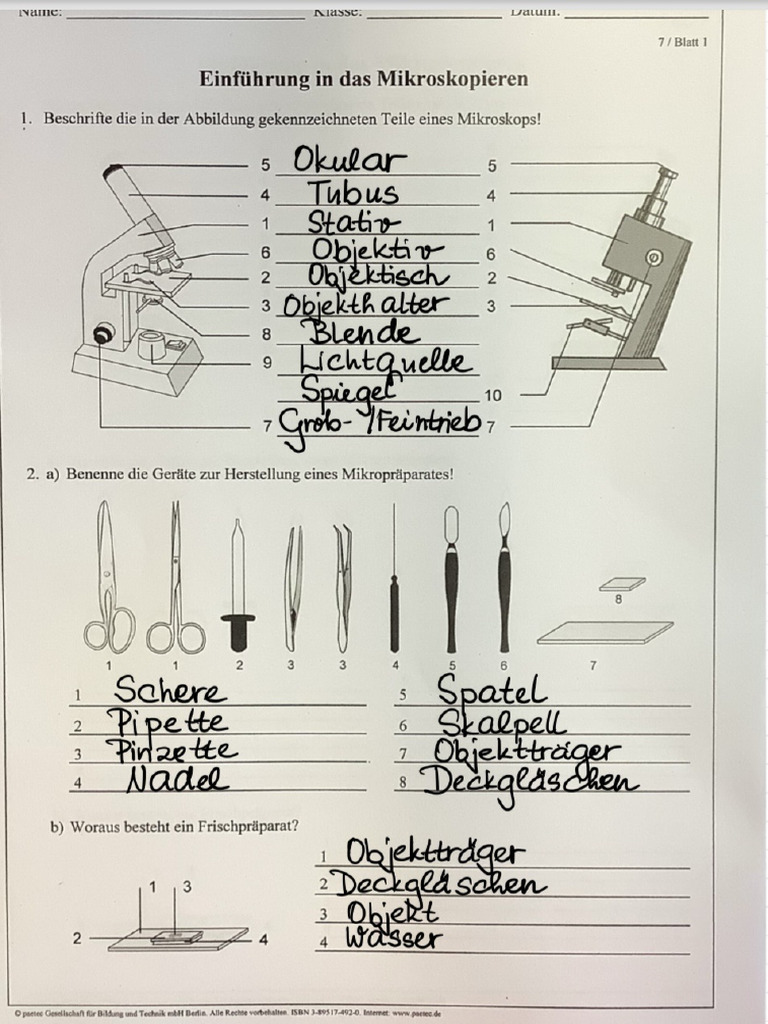 Einfuhrung in Das Mikroskopieren | PDF Einfuhrung in Das Mikroskopieren | PDF