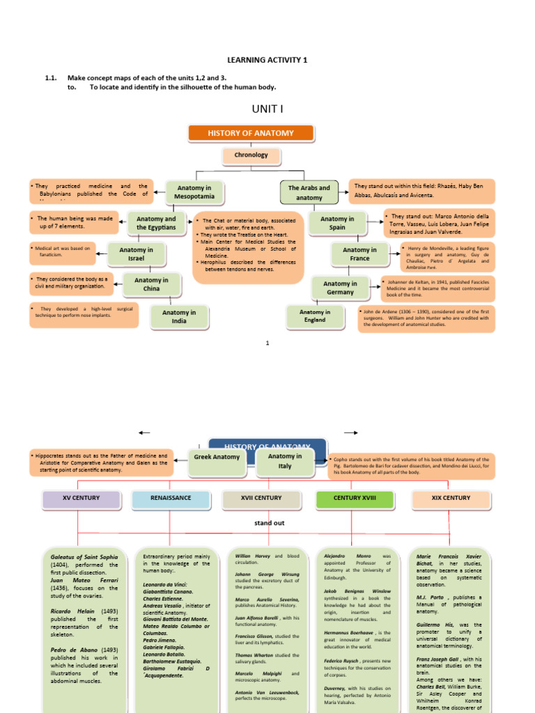 Anatomy Conceptual Maps | PDF | Human Body | Homeostasis