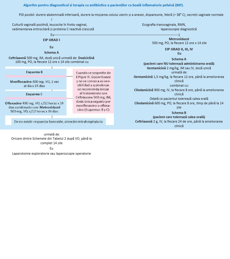 Algoritmul Bolilor Inflamatorii Pelvine | PDF