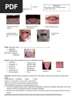 Hazelbaker ATLFF | PDF | Tongue | Mouth