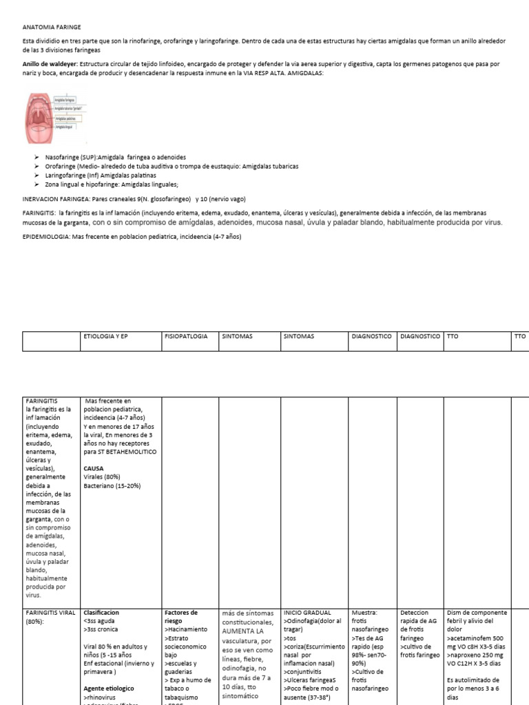 Faringitis Cuadro | PDF | Penicilina | Microbiología