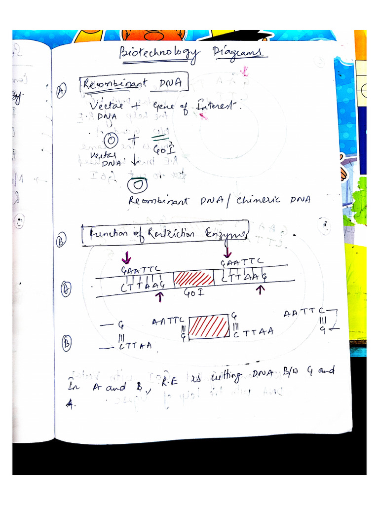 Biotechnology Diagrams | PDF