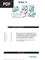 Manual Wisc 5 | PDF