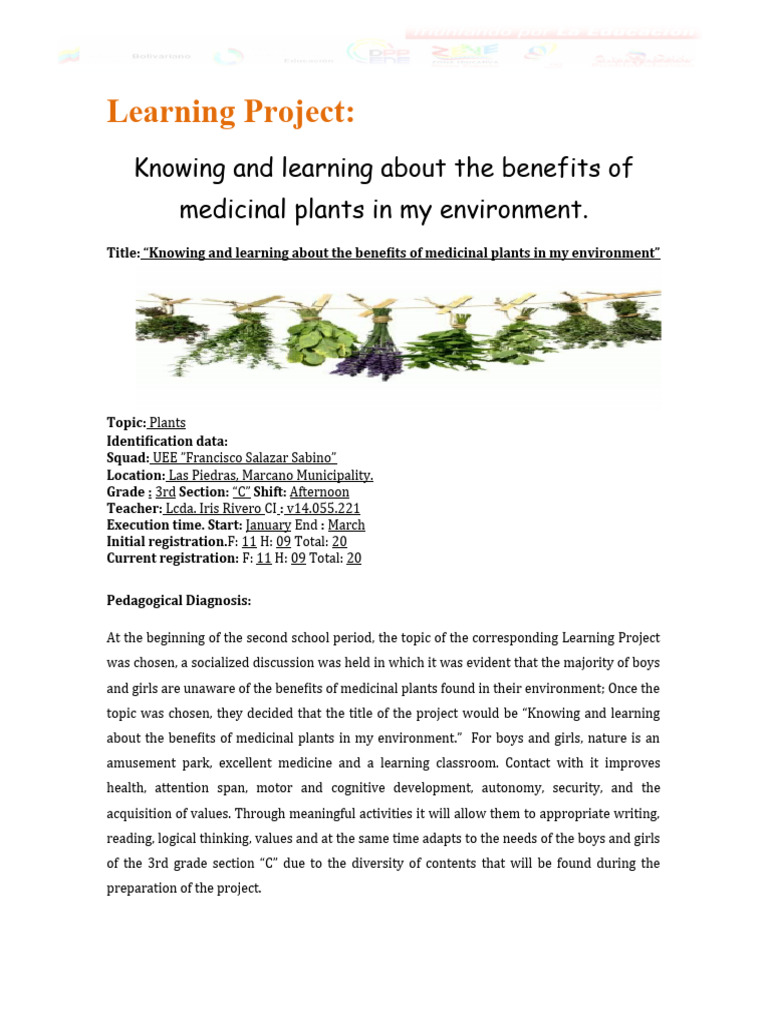 Medicinal Plants Learning Project | PDF | Learning | Word