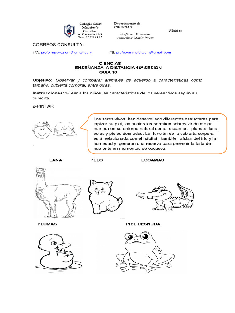 Guía de Ciencias 1° Básico: Cubiertas de Animales | PDF | Ciencias sociales